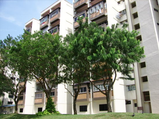 245 Tampines Street 21 (S)521245 HDB Street - HDB Blocks, Flats for ...