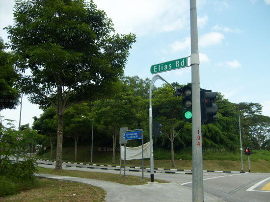 Elias Road HDB Details Location Map - Nearby MRT's, Schools, Malls | SRX