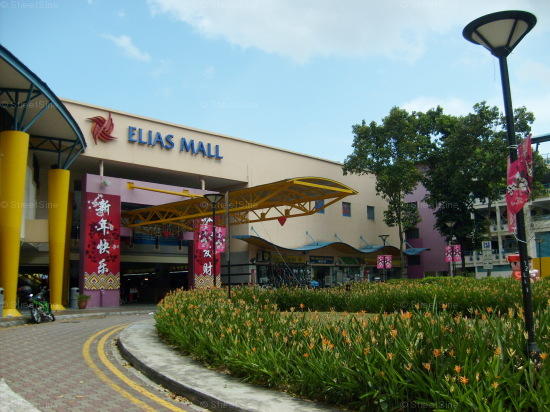 Elias Road HDB Details Location Map - Nearby MRT's, Schools, Malls | SRX