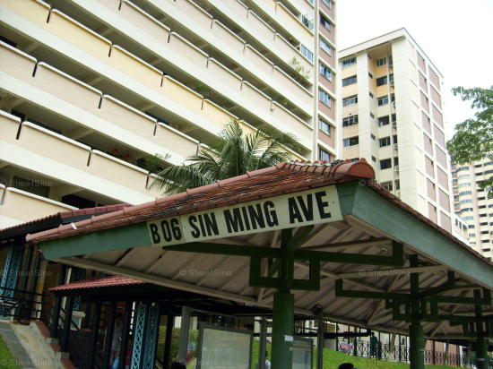 Sin Ming Avenue HDB Street - HDB Blocks, Flats for Sale & Rent in Sin ...