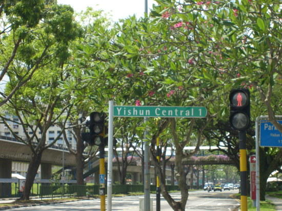 Yishun Central 1 HDB Street - HDB Blocks, Flats for Sale & Rent in ...