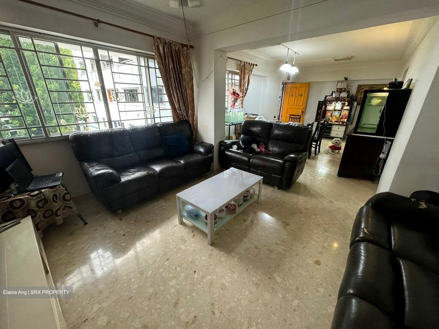 Elaine Ang - Associate District Director from PROPNEX REALTY PTE. LTD ...