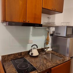 Kempas Road (D12), Condominium - For Rent #104771111