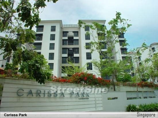 Carissa Park Condominium in Flora Drive, Overview & Unit Prices
