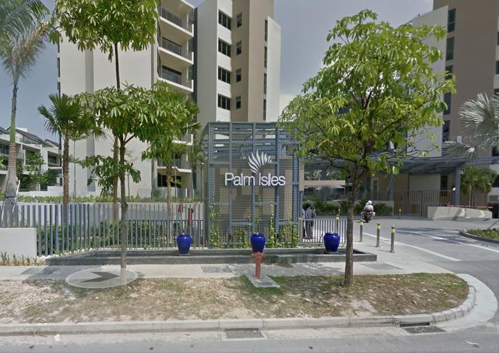 Palm Isles in Flora Drive, Overview & Unit Prices