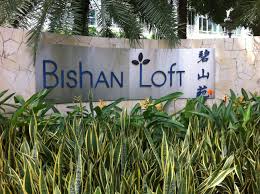 Bishan Loft in Bishan Street 11, Overview & Unit Prices