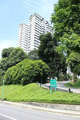 Floor Plans for Braddell View Condo | SRX