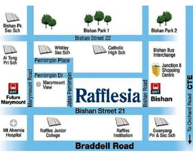 Rafflesia Condominium in Bishan Street 21, Overview & Unit Prices